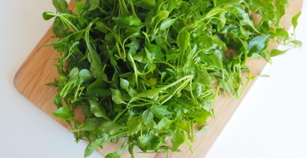 Un mundo detrás de una simple hoja de berro - Selecciones